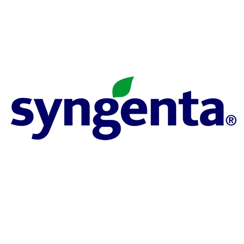 Syngenta Seeds LLC - Vegetable Industry Trials